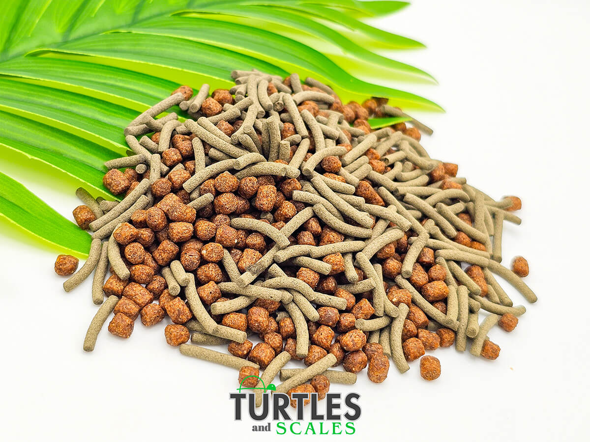 House Turtle Food - Turtles & Scales