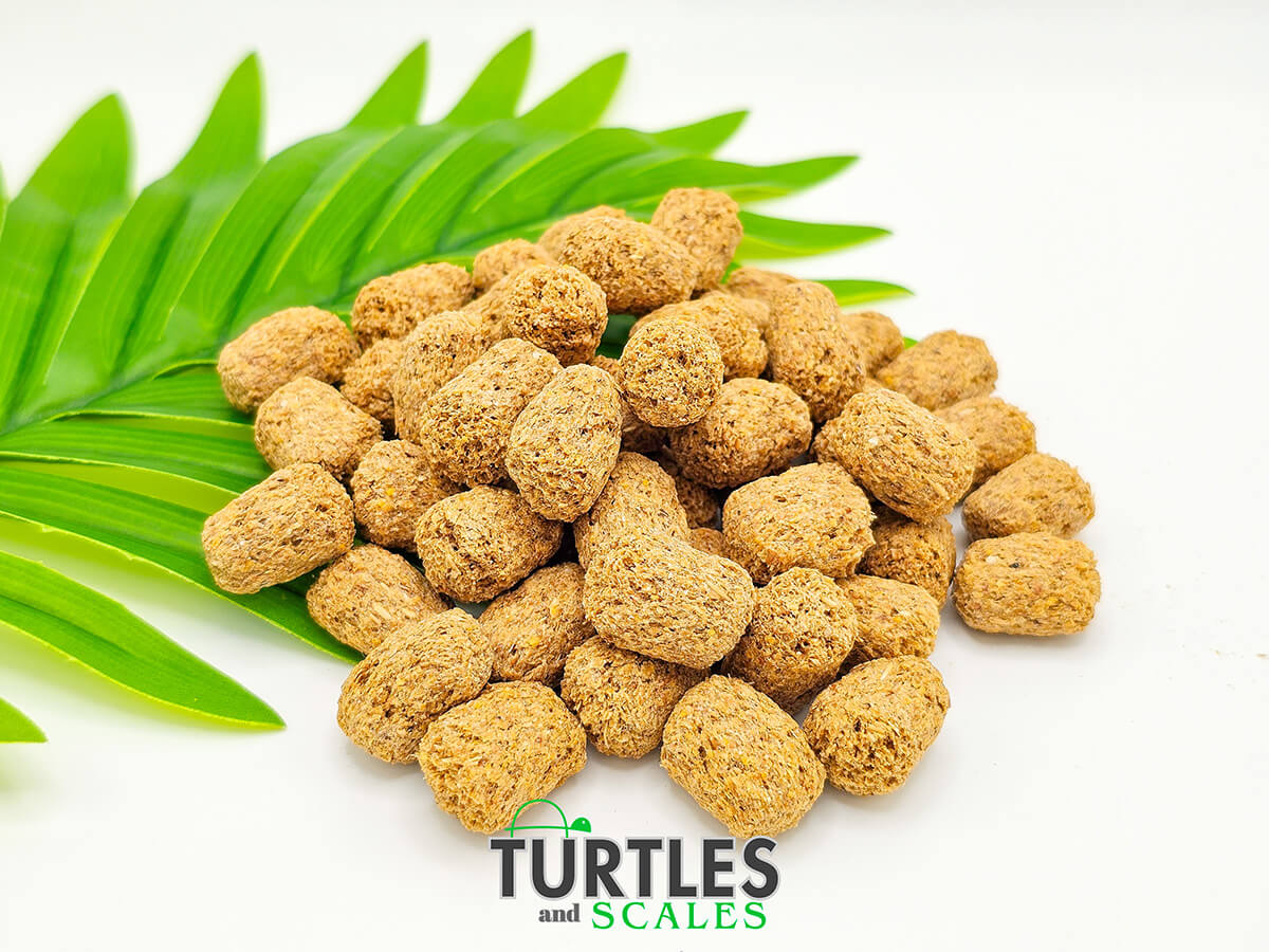 House Tortoise Food - Turtles & Scales