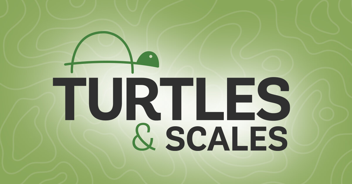 Live Arrival & 7- Day Health Guarantee - Turtles & Scales